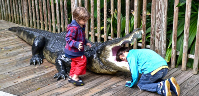 MEMBERSHIP MEMBERSHIP